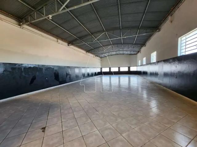 Casa / Sobrado Comercial para Locação em Araçatuba/SP Boa Vista