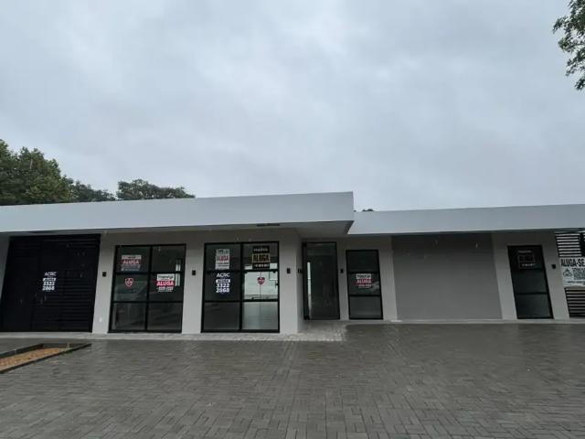 Casa / Sobrado Comercial para Locação em Blumenau/SC Vorstadt
