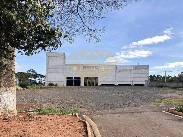 Casa / Sobrado Comercial para Locação em Ponta Grossa/PR Chapada