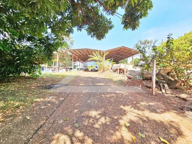 Casa / Sobrado Comercial para Locação em Ribeirão Preto/SP Parque Residencial Lagoinha