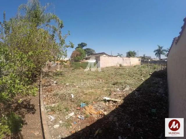 Casa / Sobrado Comercial para Locação em Ribeirão Preto/SP Vila Virgínia