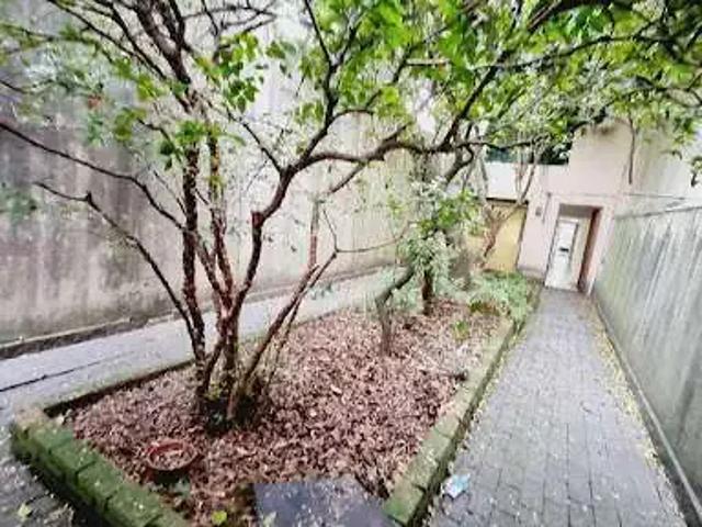 Casa / Sobrado Comercial para Locação em Santos/SP Vila Nova 9 Quartos
