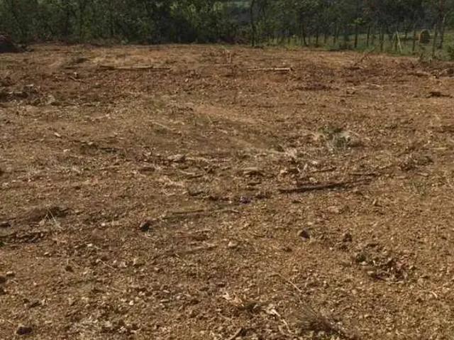 Casa / Sobrado Comercial para Venda em Jaboticatubas/MG Zona Rural