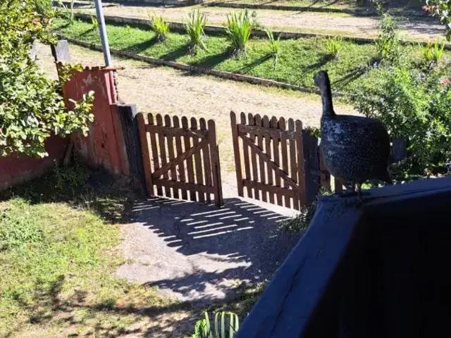 Casa / Sobrado Comercial para Venda em Lavras Novas/MG Centro