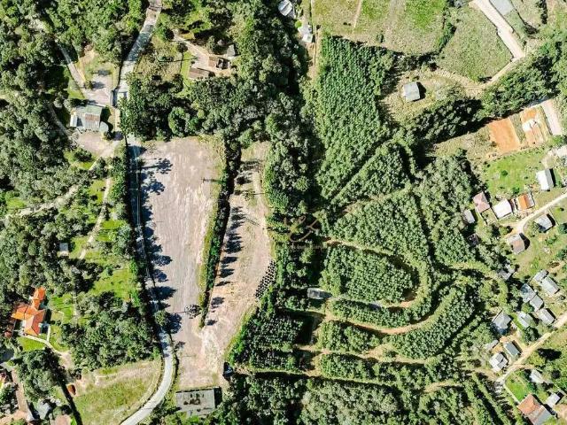 Casa / Sobrado Comercial para Venda em São José dos Pinhais/PR Zona Rural