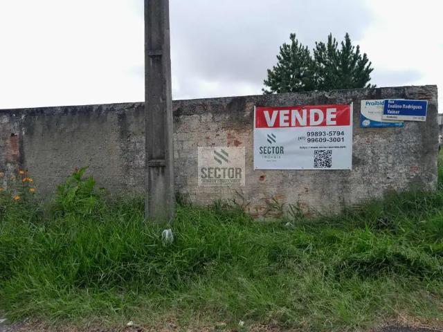 Casa / Sobrado Comercial para Venda em São José dos Pinhais/PR Academia