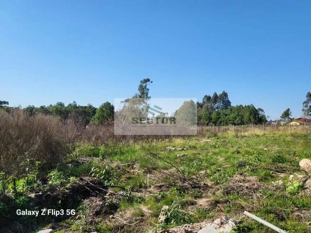 Casa / Sobrado Comercial para Venda em São José dos Pinhais/PR Campo Largo da Roseira
