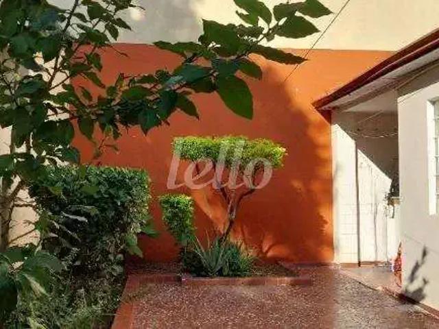 Casa / Sobrado Comercial para Venda em São Paulo/SP Mooca 3 Quartos