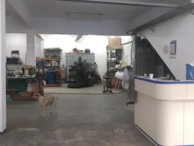 Casa / Sobrado Comercial para Venda em São Paulo/SP Parque São Lucas 1 Quartos