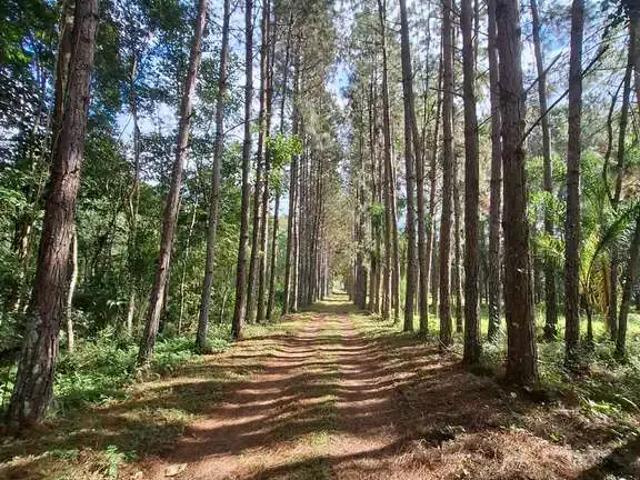 Casa / Sobrado Comercial para Venda em Santa Isabel/SP Jaguarí