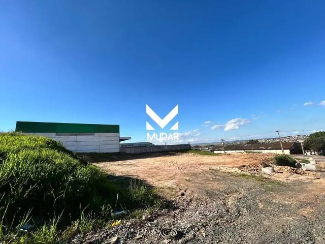 Casa / Sobrado Comercial para Venda em Ponta Grossa/PR Boa Vista