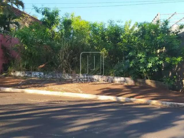 Casa / Sobrado Comercial para Venda em Ribeirão Preto/SP Alto da Boa Vista