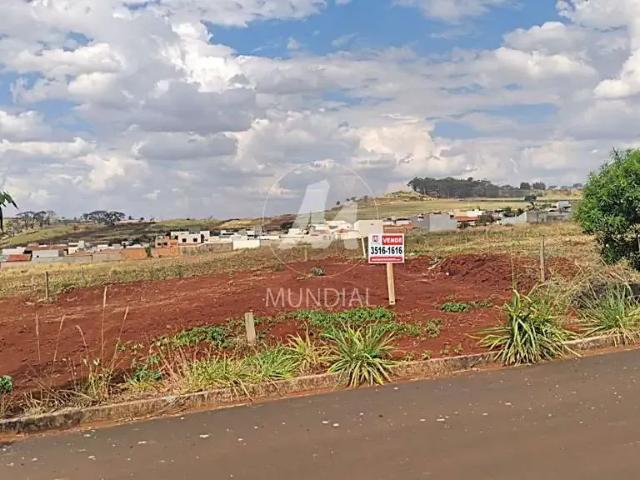 Casa / Sobrado Comercial para Venda em Ribeirão Preto/SP Bonfim Paulista