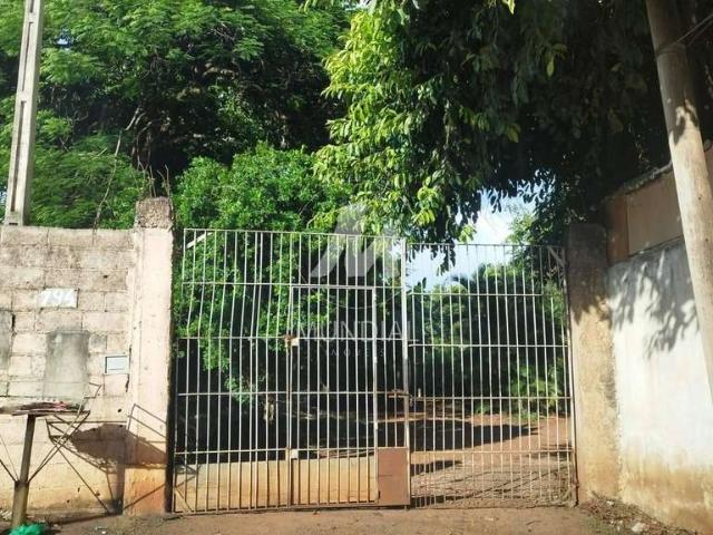 Casa / Sobrado Comercial para Venda em Ribeirão Preto/SP Campos Elíseos