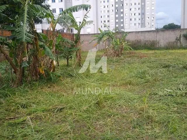 Casa / Sobrado Comercial para Venda em Ribeirão Preto/SP Ipiranga