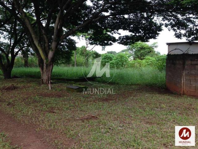 Casa / Sobrado Comercial para Venda em Ribeirão Preto/SP Jardim Iara 2 Quartos