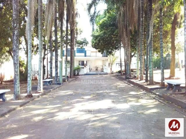 Casa / Sobrado Comercial para Venda em Ribeirão Preto/SP Parque São Sebastião 4 Quartos