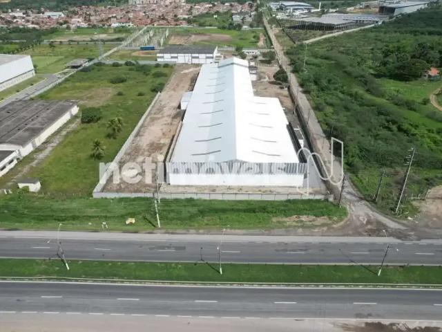 Casa / Sobrado em Condomínio para Locação em Feira de Santana/BA Santa Mônica 7 Quartos