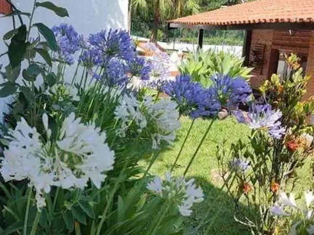 Casa / Sobrado em Condomínio para Locação em Santana de Parnaíba/SP Morada do Sol 3 Quartos