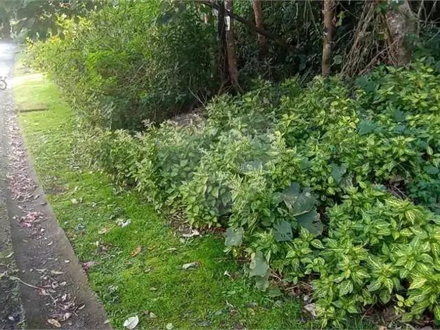 Casa / Sobrado em Condomínio para Venda em Mairiporã/SP Roseira