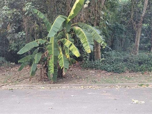 Casa / Sobrado em Condomínio para Venda em Mairiporã/SP Serra da Cantareira