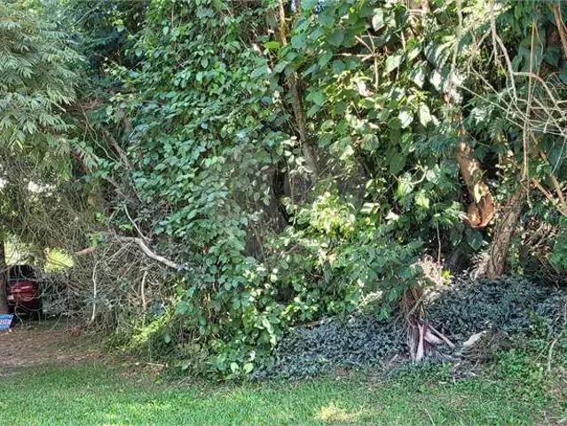 Casa / Sobrado em Condomínio para Venda em Mairiporã/SP Serra da Cantareira