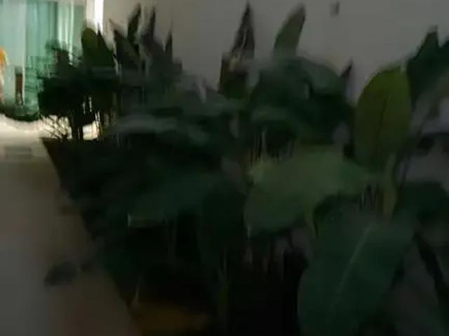 Casa / Sobrado em Condomínio para Venda em Aracaju/SE Zona de Expansão Mosqueiro 4 Quartos