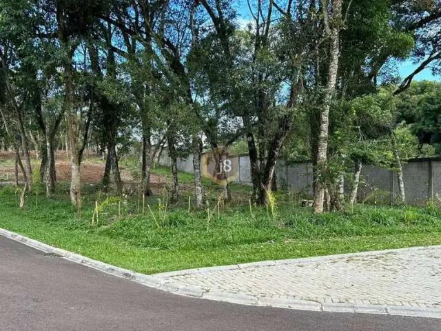 Casa / Sobrado em Condomínio para Venda em Curitiba/PR São Braz