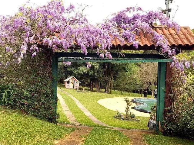 Casa / Sobrado em Condomínio para Venda em Caxias do Sul/RS Pedancino 3 Quartos