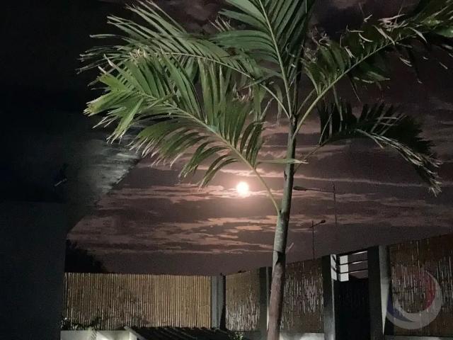 Casa / Sobrado em Condomínio para Venda em Florianópolis/SC Rio Tavares 4 Quartos