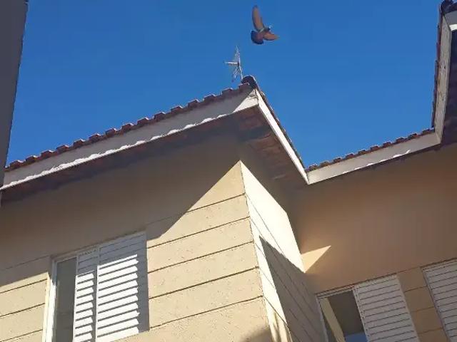 Casa / Sobrado em Condomínio para Venda em São Paulo/SP Jardim Sarah 2 Quartos