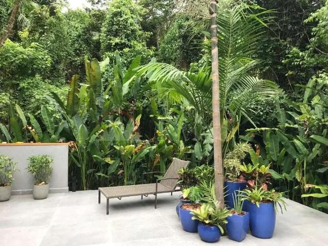 Casa / Sobrado em Condomínio para Venda em São Sebastião/SP Maresias 4 Quartos