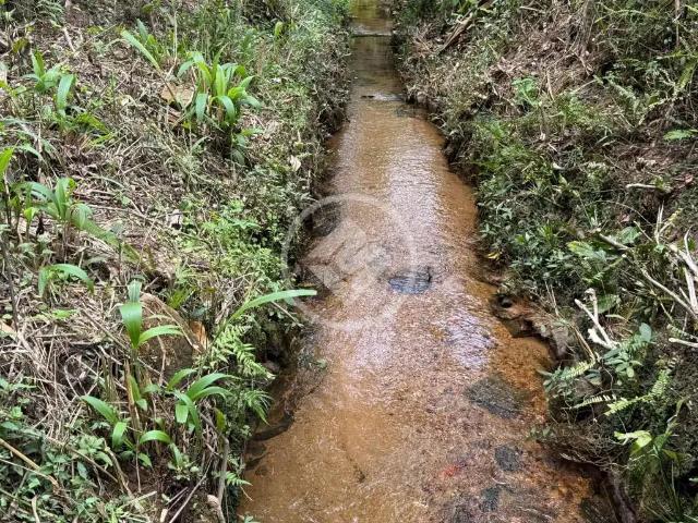 Casa / Sobrado em Condomínio para Venda em Teresópolis/RJ Granja Comary 4 Quartos