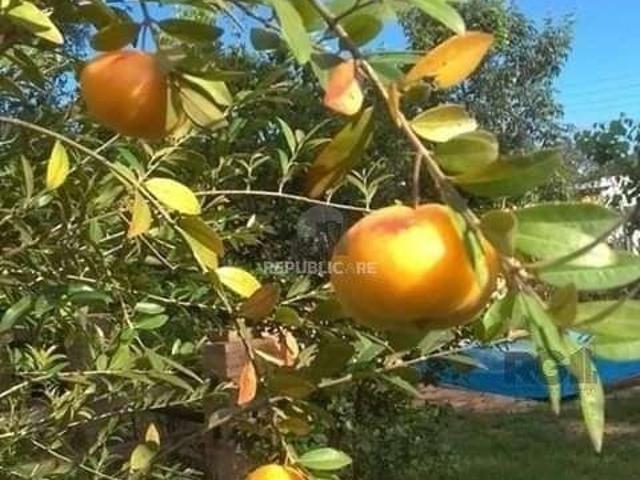 Casa / Sobrado em Condomínio para Venda em Viamão/RS Águas Claras 2 Quartos