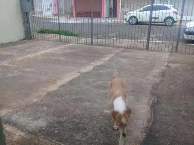 Casa / Sobrado para Venda em Tatuí/SP Vila Angélica 2 Quartos