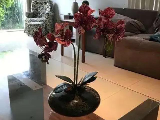 Casa / Sobrado para Venda em Taubaté/SP Jardim Eulália 3 Quartos