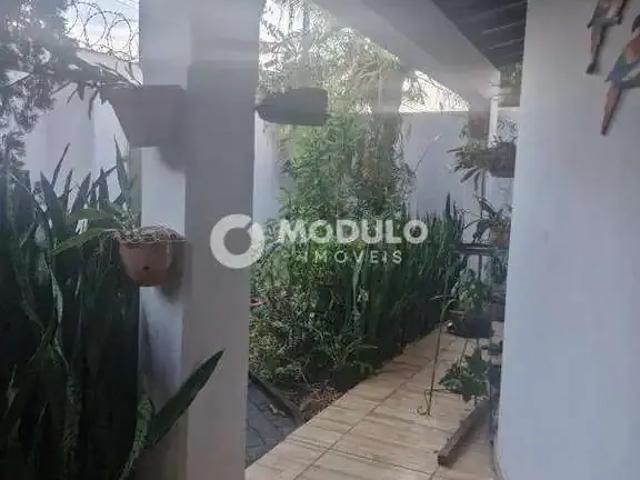 Casa / Sobrado para Venda em Uberlândia/MG Conjunto Segismundo Pereira 3 Quartos