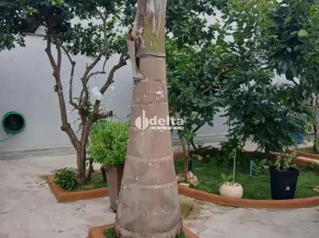 Casa / Sobrado para Venda em Uberlândia/MG Cidade Jardim 3 Quartos