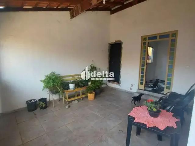 Casa / Sobrado para Venda em Uberlândia/MG Guarani 3 Quartos