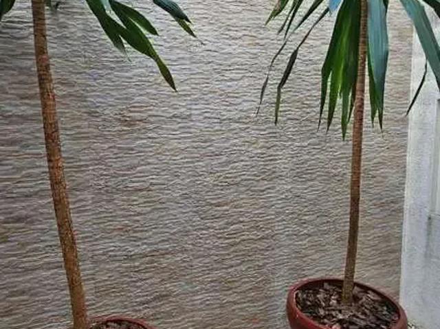 Casa / Sobrado para Venda em Uberlândia/MG Jardim Karaíba 3 Quartos