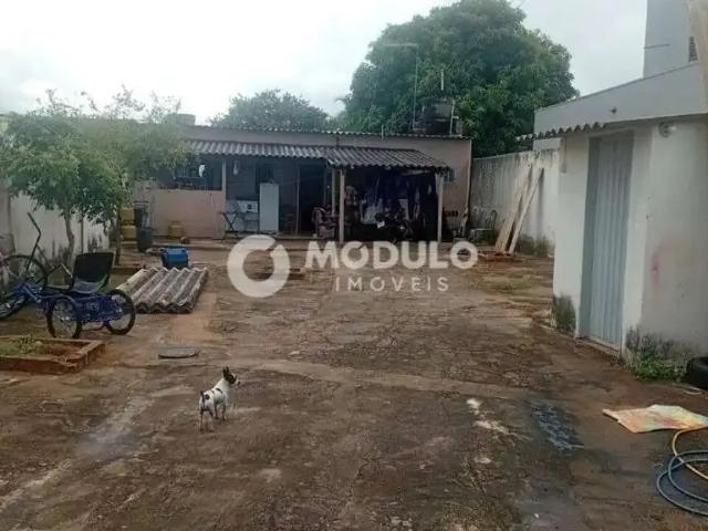 Casa / Sobrado para Venda em Uberlândia/MG Shopping Park 1 Quartos
