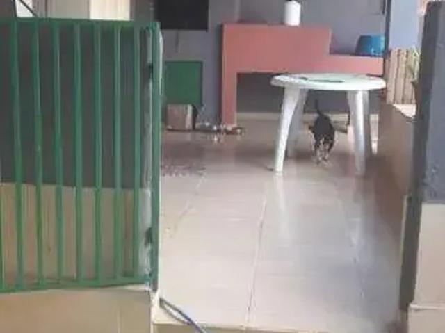 Casa / Sobrado para Venda em Uberlândia/MG Shopping Park 3 Quartos