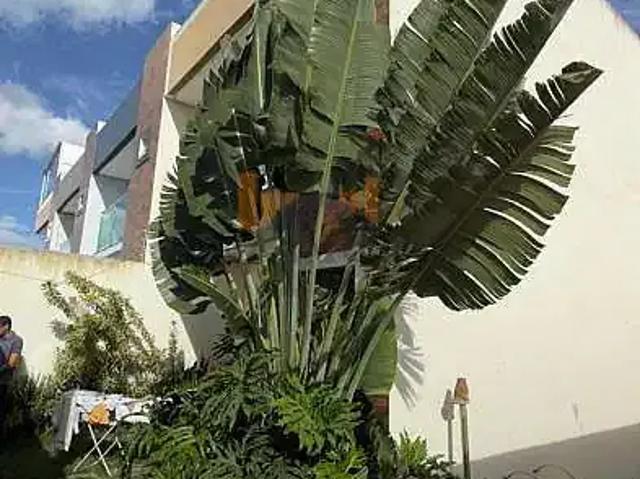 Casa / Sobrado para Venda em Vitória da Conquista/BA Bela Vista 3 Quartos