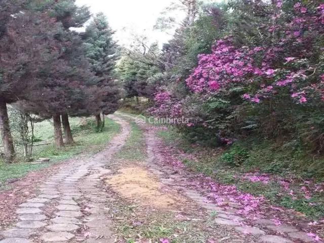 Casa / Sobrado para Venda em Águas Mornas/SC Centro 2 Quartos