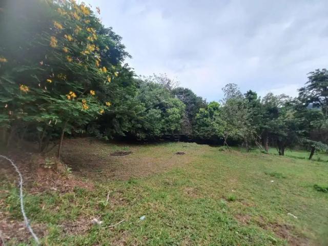 Casa / Sobrado para Venda em Agudos/SP Jardim Santa Candida