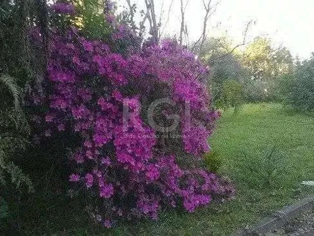 Casa / Sobrado para Venda em Alvorada/RS Aparecida 1 Quartos