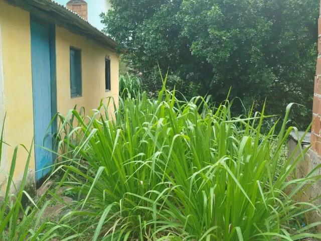 Casa / Sobrado para Venda em Atílio Vivácqua/ES Centro