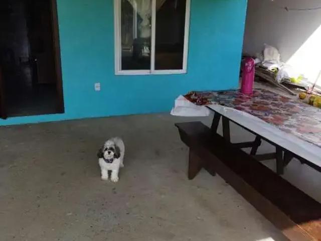Casa / Sobrado para Venda em Balneário Pinhal/RS Praia Do Magistério 4 Quartos
