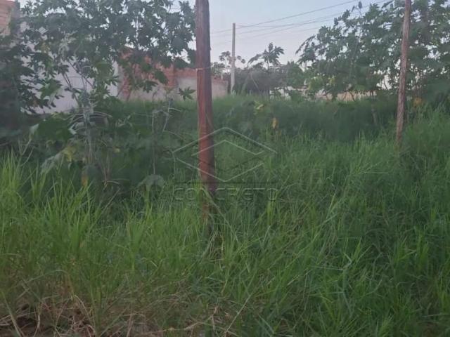 Casa / Sobrado para Venda em Bauru/SP Jardim Marília