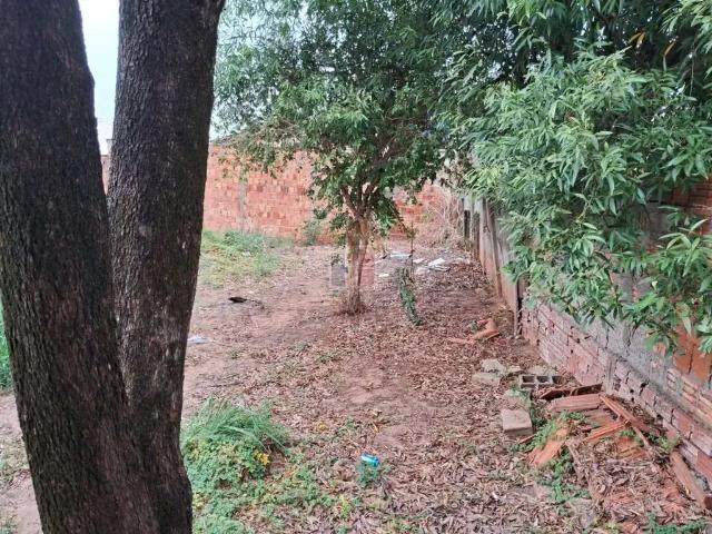 Casa / Sobrado para Venda em Bauru/SP Parque Vista Alegre 4 Quartos